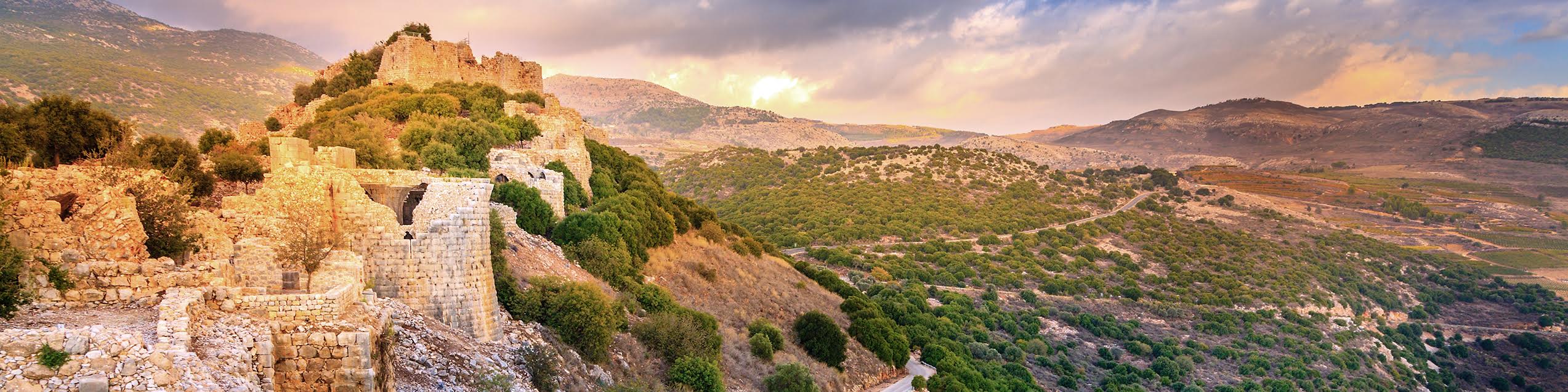 Home - Hope For Israel