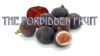 The Forbidden Fruit — What was it anyway? - Hope for Israel
